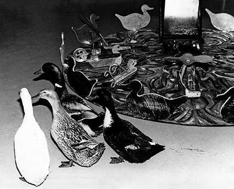 Duck Works – Terry Graff